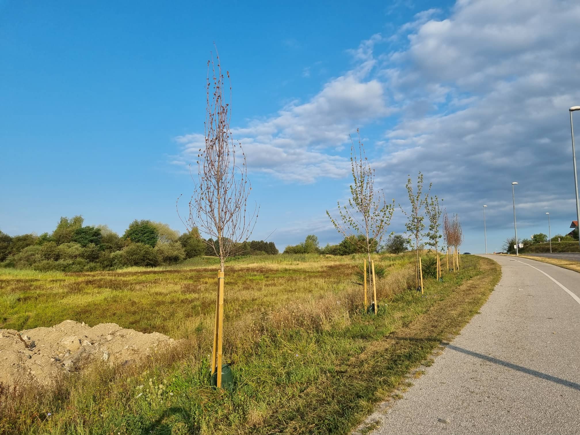 Kam s posušenimi drevesi? - Radio Fantasy